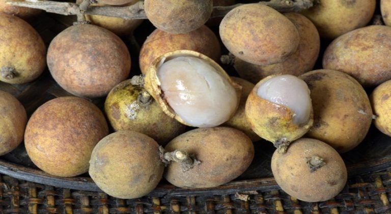 Pitomba: 6 benefícios e como fazer o suco Tonifica o sistema imune ...